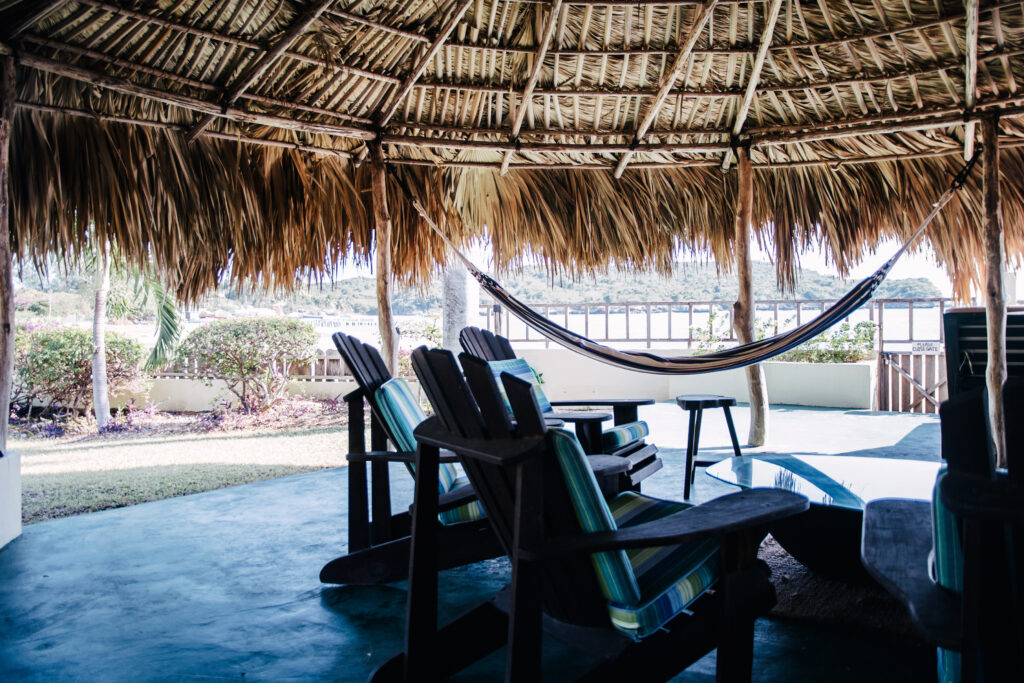 Blue Marlin - MycoMeditations