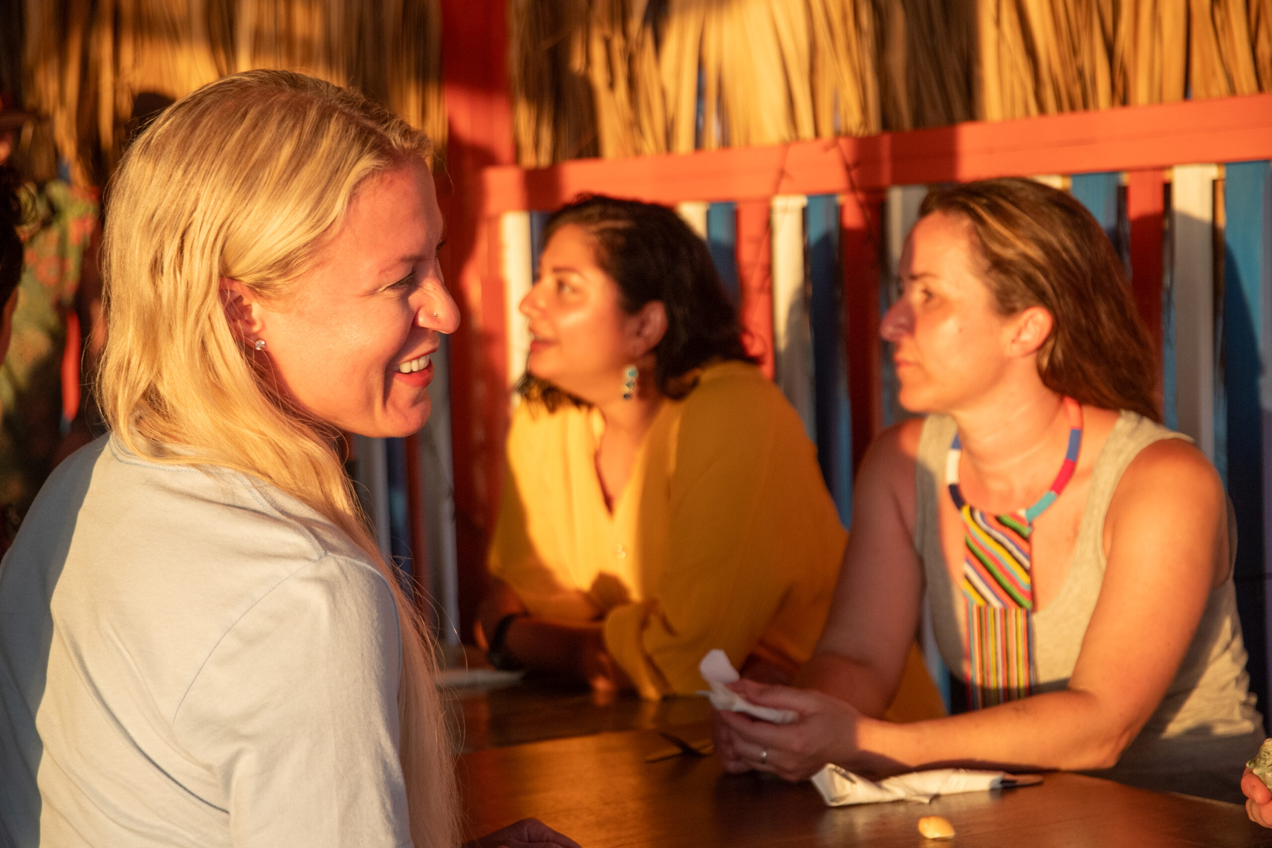 Career Openings: Apply Now - MycoMeditations